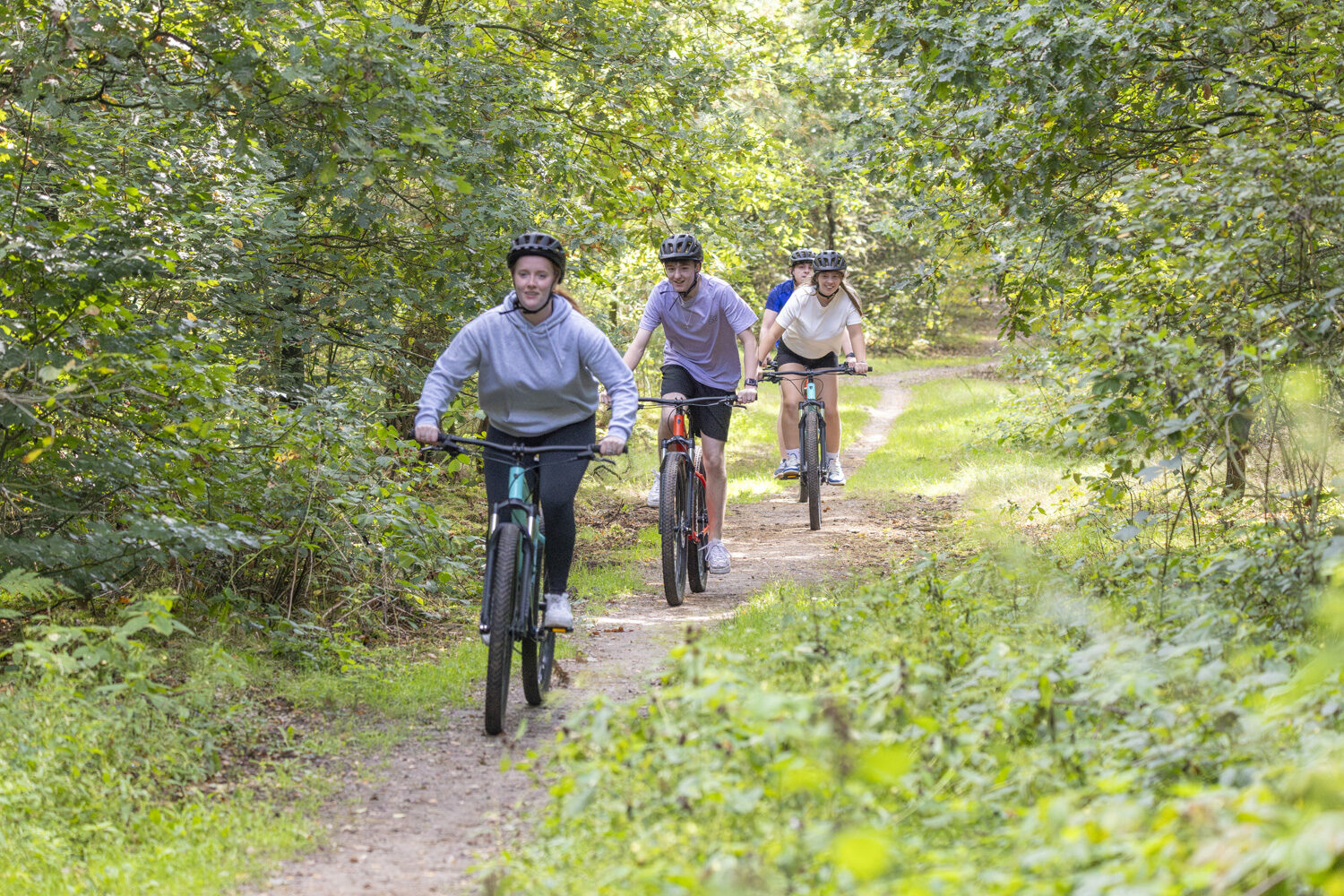 Mountainbike Huren in Ermelo | Veluwe Mountainbike